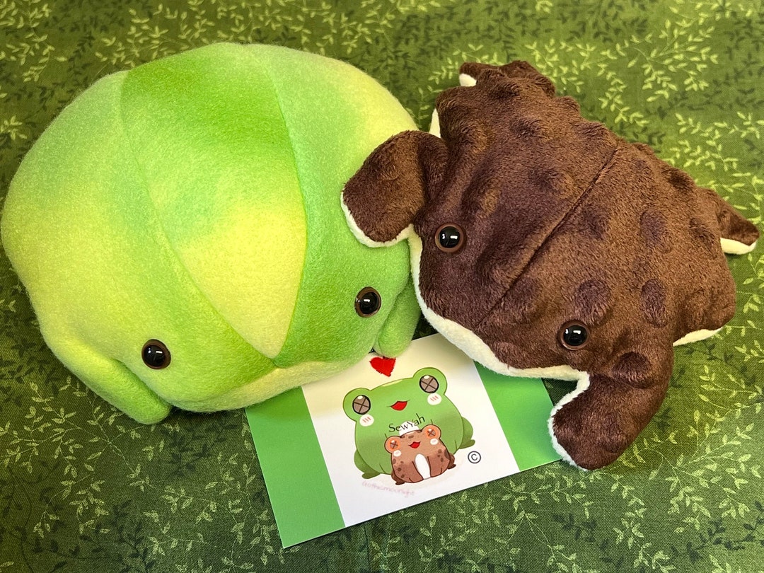 Frog and a Toad BUNDLE Cute Soft Fluffy Frog, Weighted Frog Toy, Bean ...