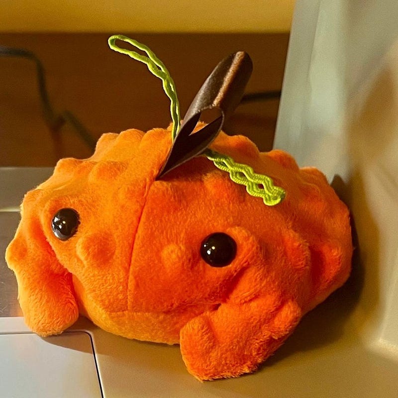Stuffed Pumpkins - Etsy