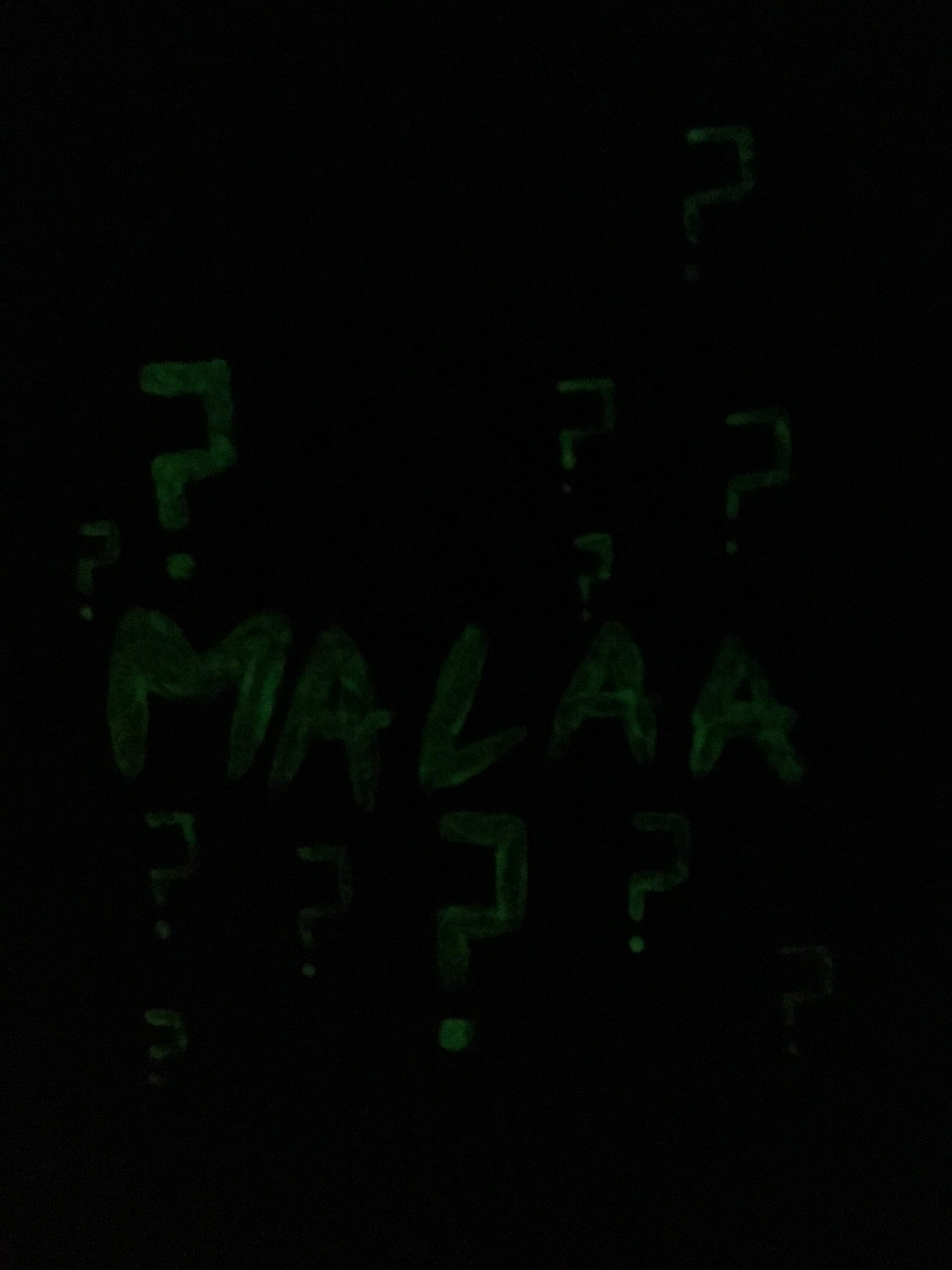 Glow in the Dark Who is Malaa Painting - Etsy