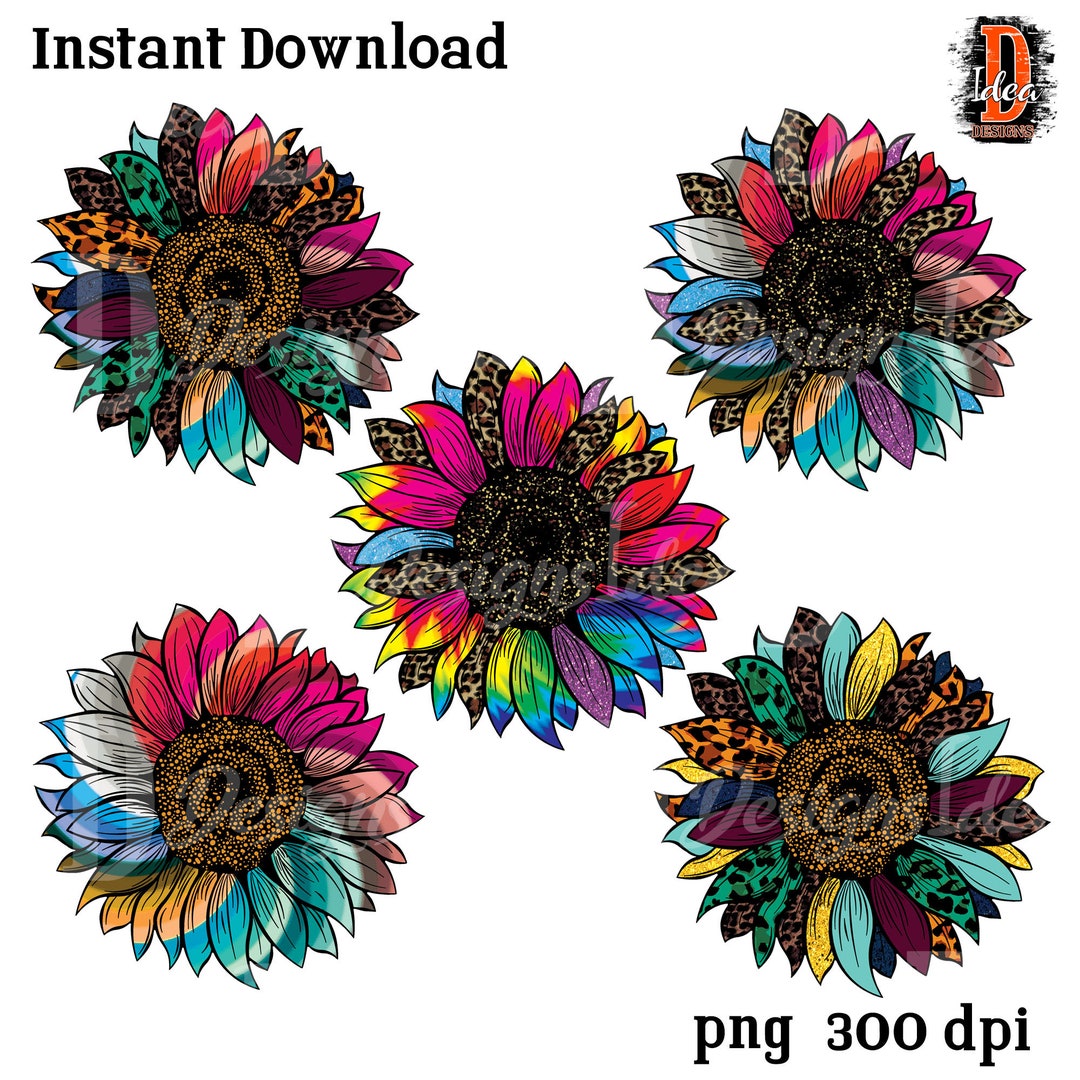 Fall Sunflower Bundle Png ,clipart, Colorful Sunflower Png , Leopard ...