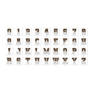 Volleyball Alphabet Letters PNG Bundle ,volleyball Sports Doodle ...