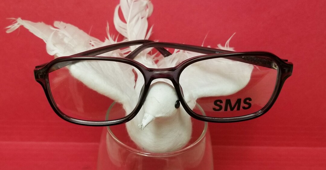 New Transparent Grey Shane Michael Special (SMS) Eyeglasses Rectangular ...