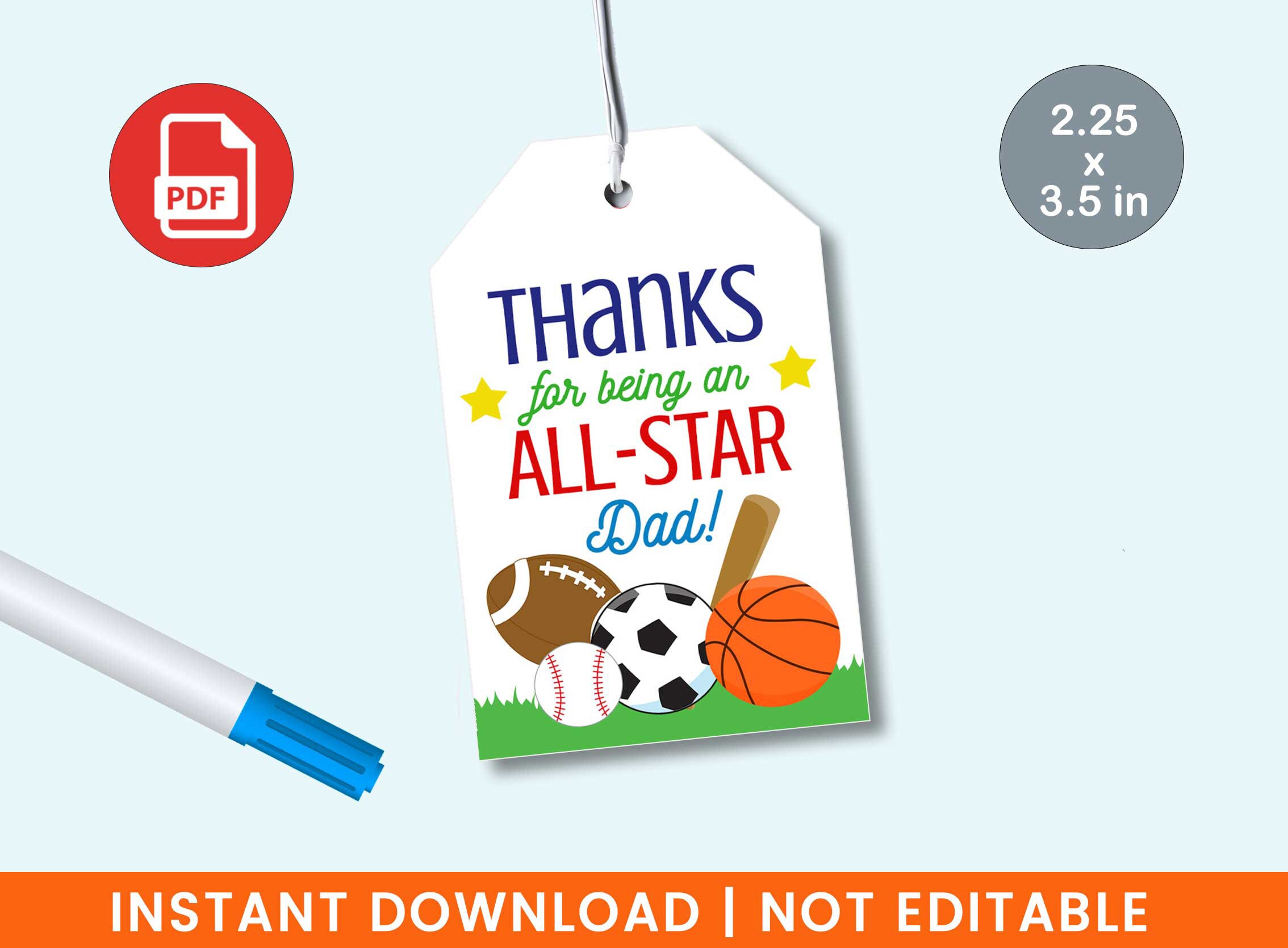 Printable Sports Father's Day Gift Tags, Dad Appreciation PDF Instant ...