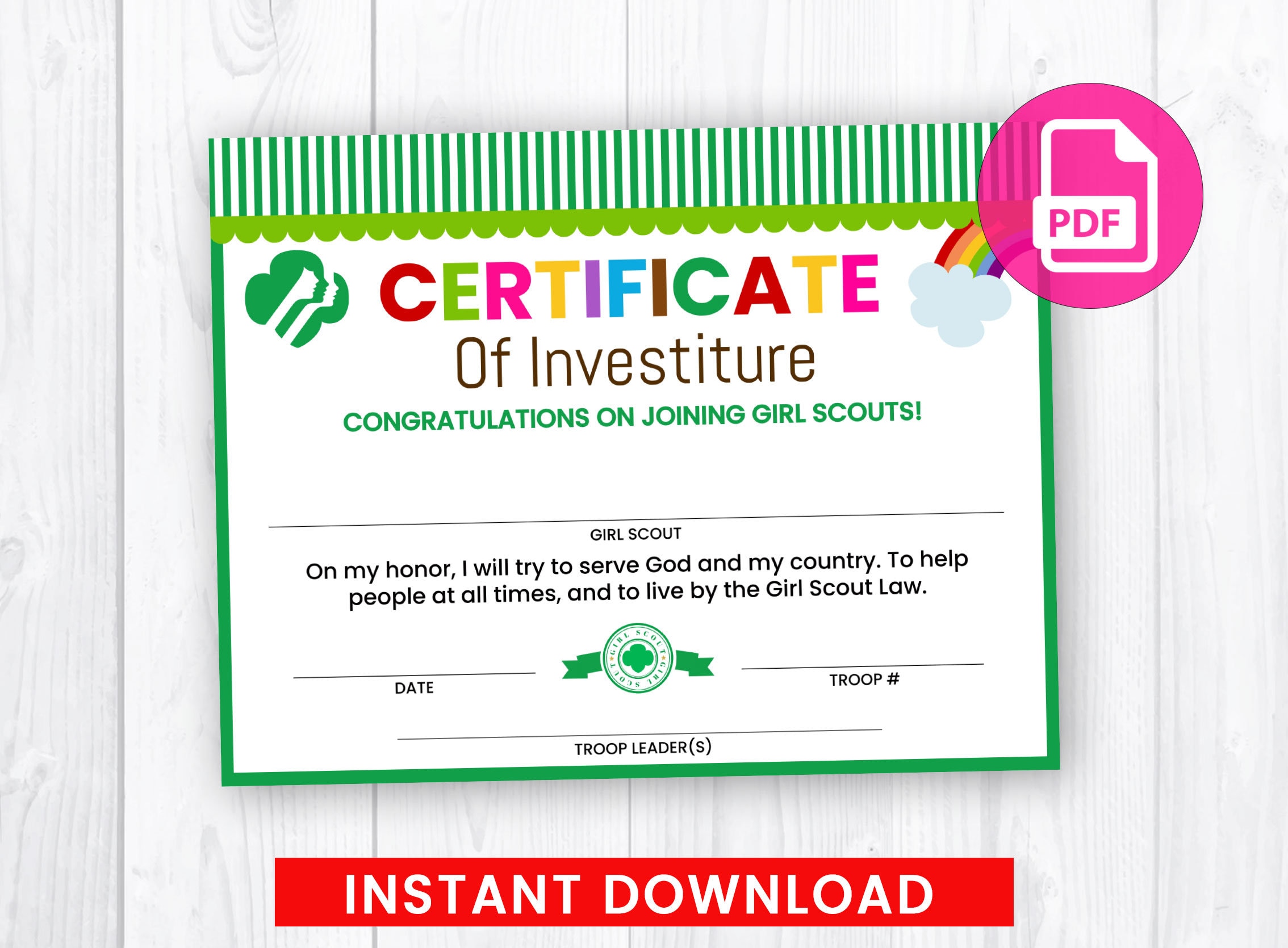 Girl Scout Investiture