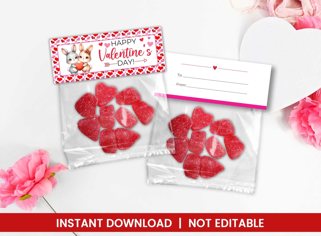 Printable Valentine's Day Treat Bag Topper Sweet Bunnies Design Goodies ...