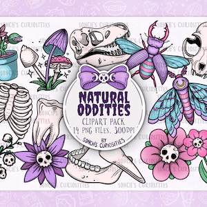 Pastel Goth Natural Oddities, Cabinet of Curiosities , Printable ...