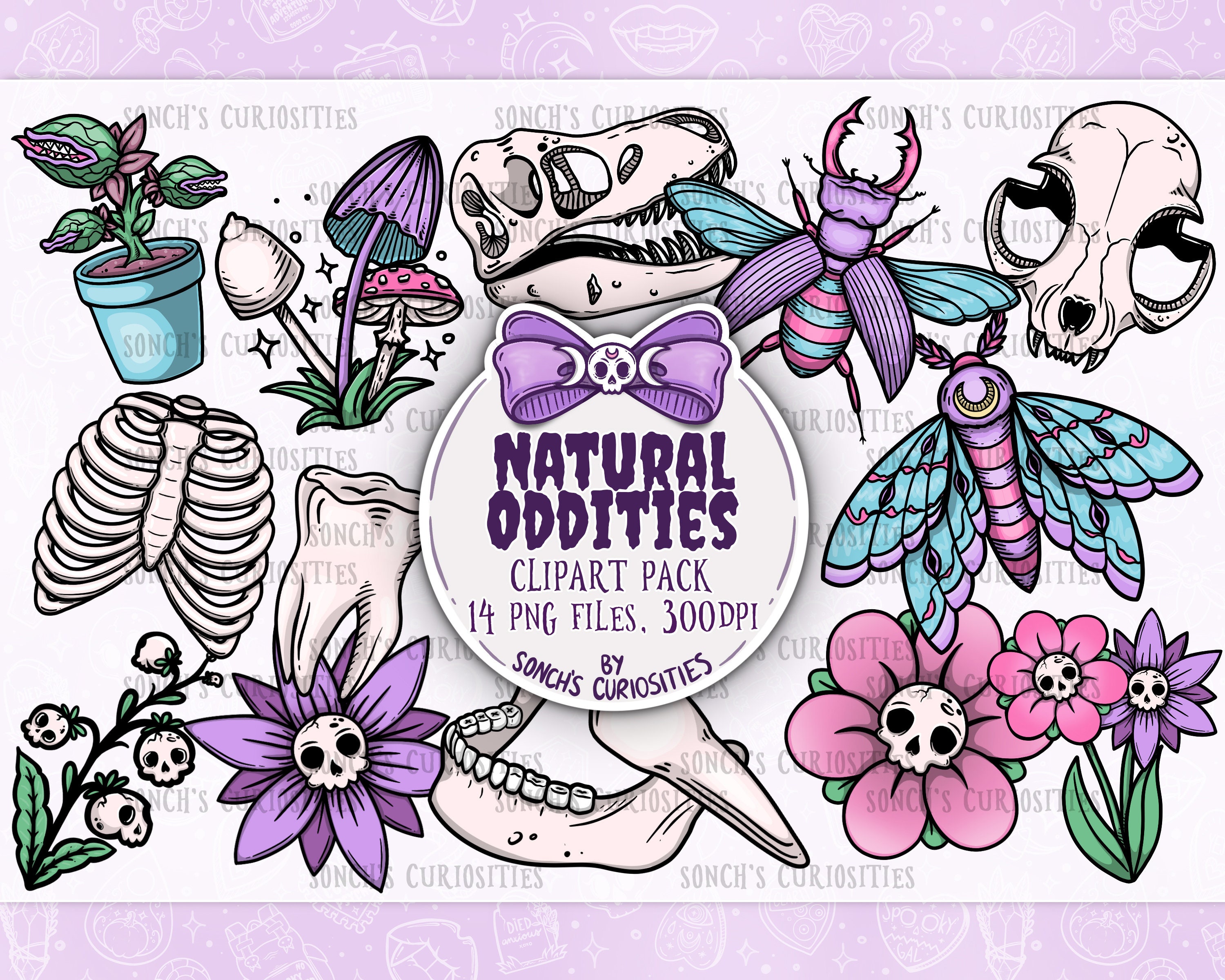 Pastel Goth Natural Oddities Cabinet of Curiosities - Etsy