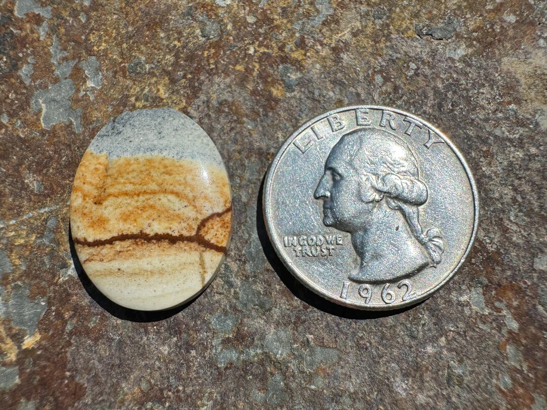 Chicken Track Jasper Cabochon. - Etsy