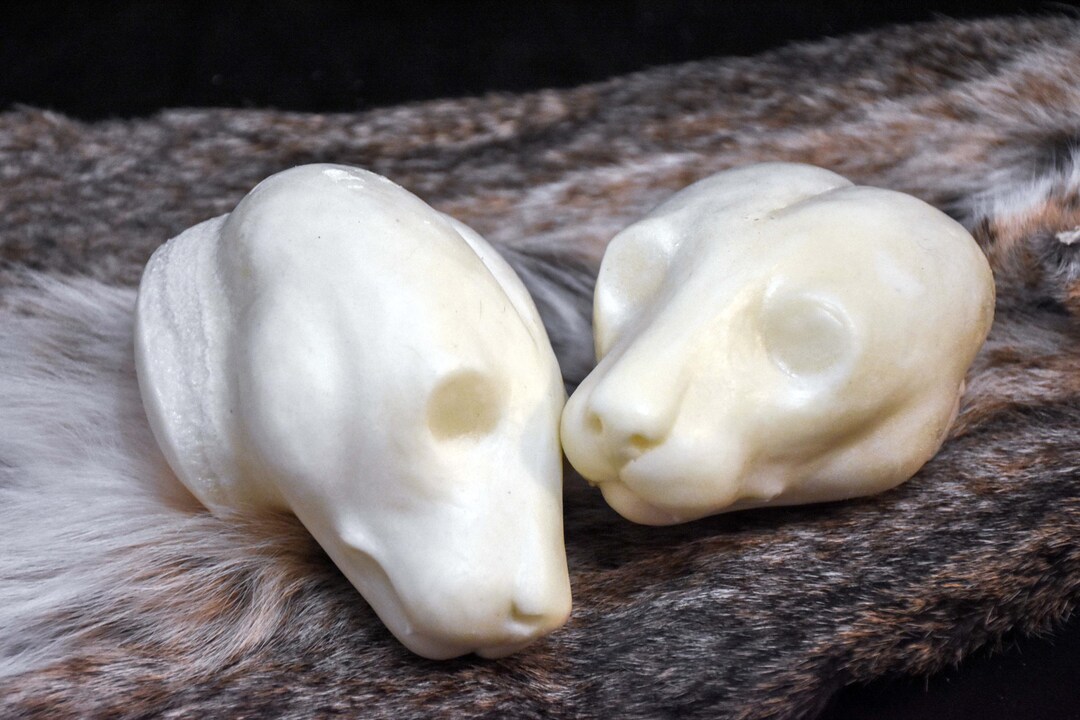 Bobcat Change-out Head Form for Softmounts or Traditional Taxidermy ...