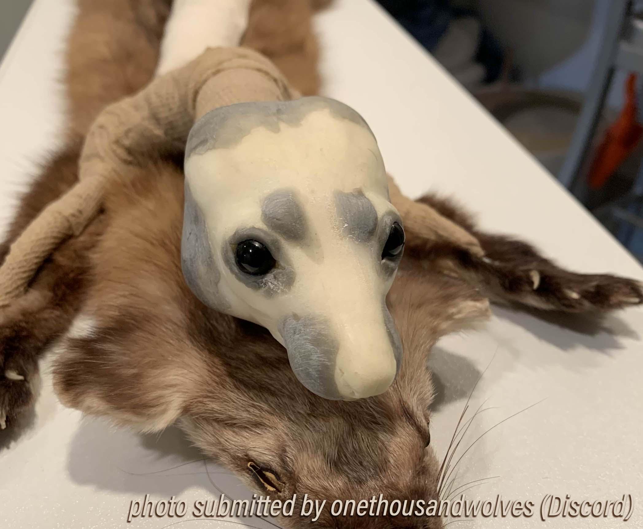 Pine Marten Change-out Head Form for Softmounts or Traditional ...