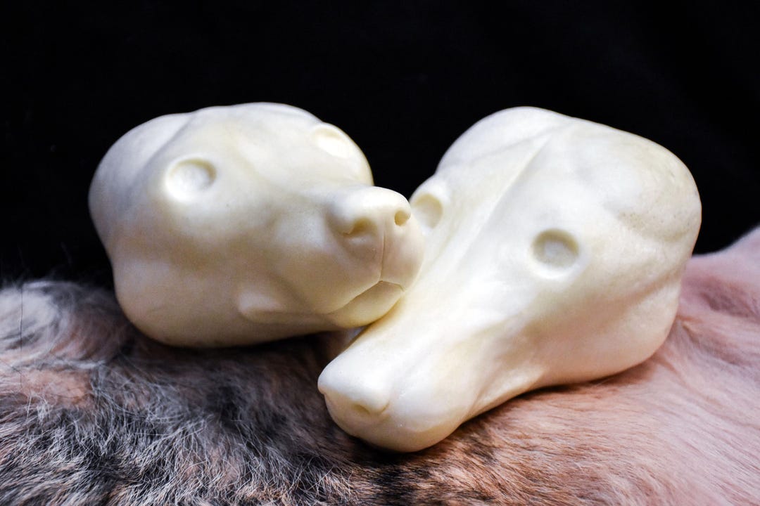 Coyote Change-out Head Form for Softmounts or Traditional Taxidermy ...