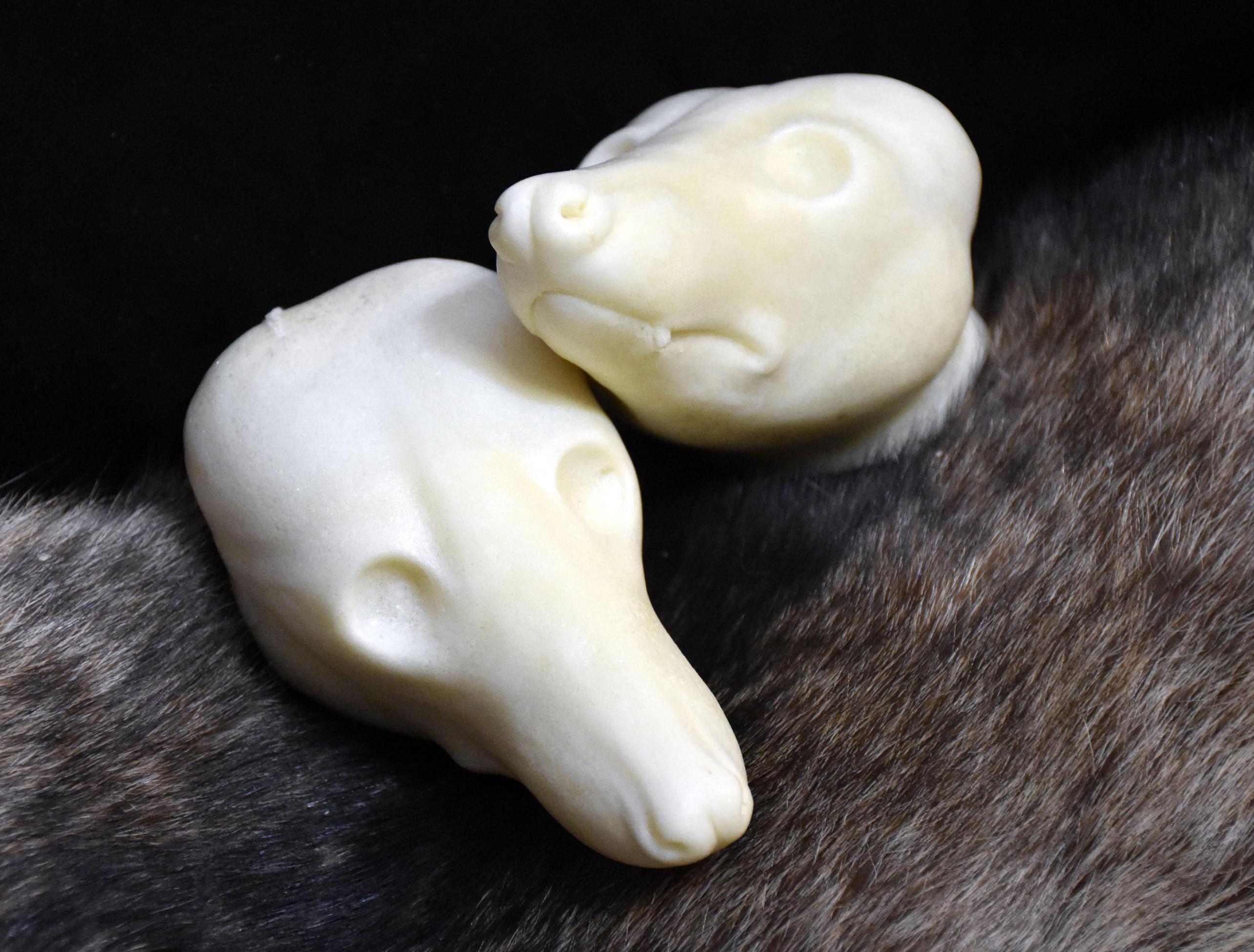 Opossum Change-out Head Form for Softmounts or Traditional Taxidermy ...