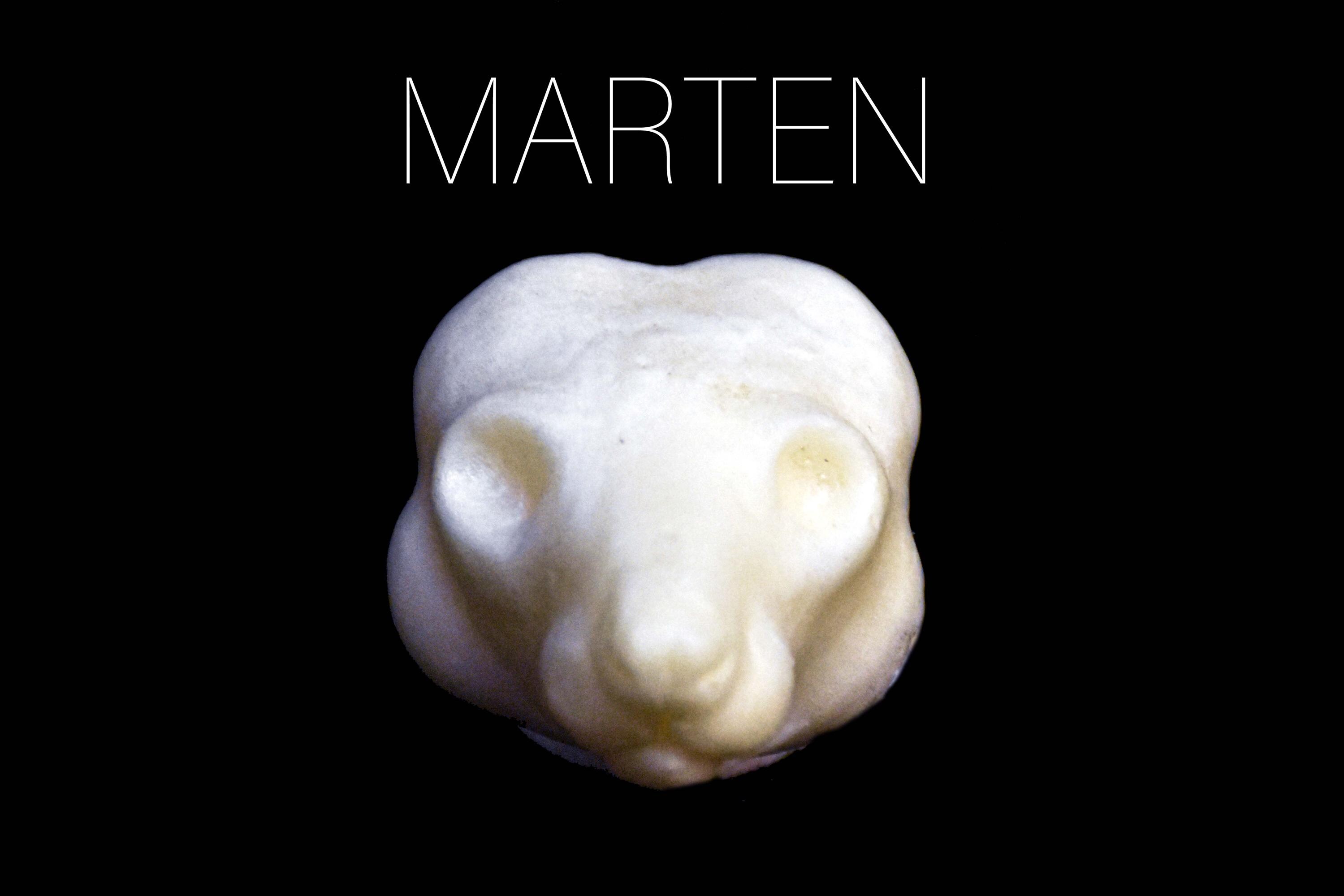 Pine Marten Change-out Head Form for Softmounts or Traditional ...