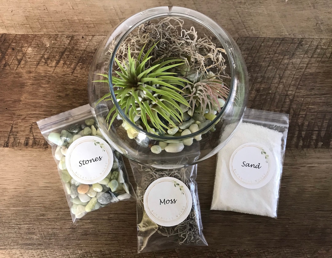 Bubble Ball Air Plant Terrarium Kit: 2.5, 4, 5 or 6 Inch Glass - Etsy