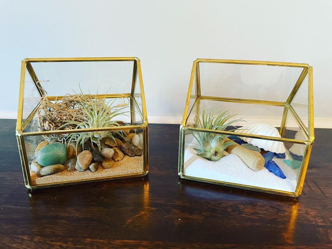 Gold and Glass House Air Plant Terrarium Kit, Beach or Lake Theme DIY ...