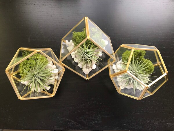 Maori Backgrounds Clip Art Set 1 Digital Paper Maori - Etsy Canada