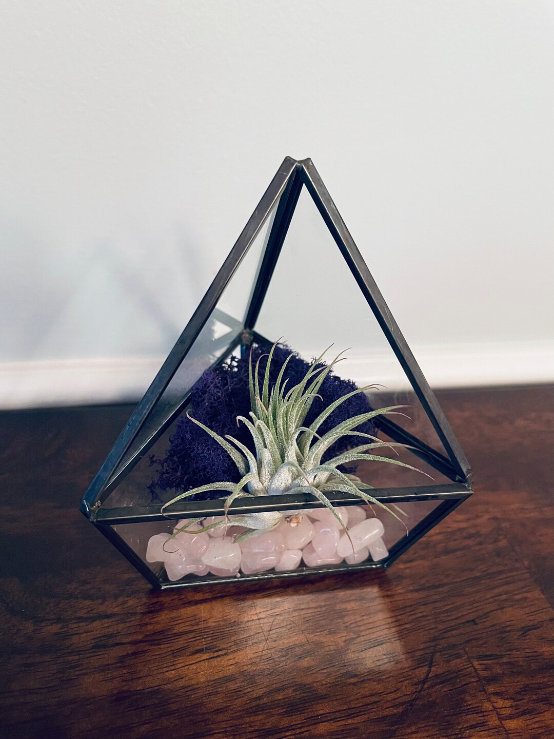 Black Triangle Metal and Glass Air Plant Terrarium Kit, DIY Terrarium ...