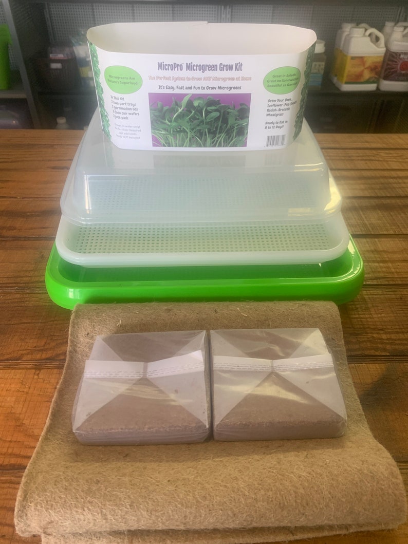 Microgreen Growing Kit - Etsy