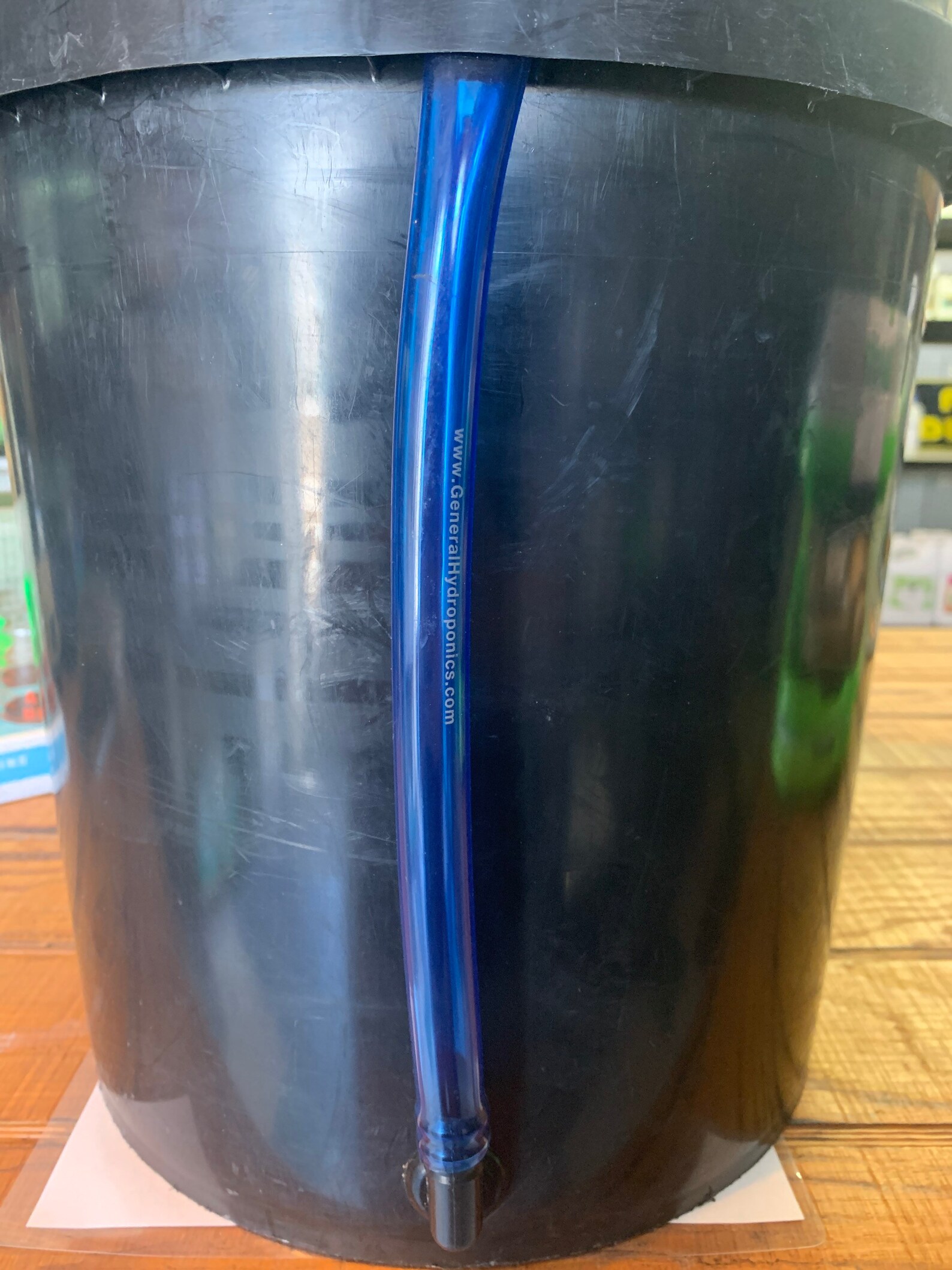 5 Gallon Hydroponic System Kit Deep Water Culture DWC - Etsy 5 Gallon Hydroponic System Kit Deep Water Culture DWC - Etsy