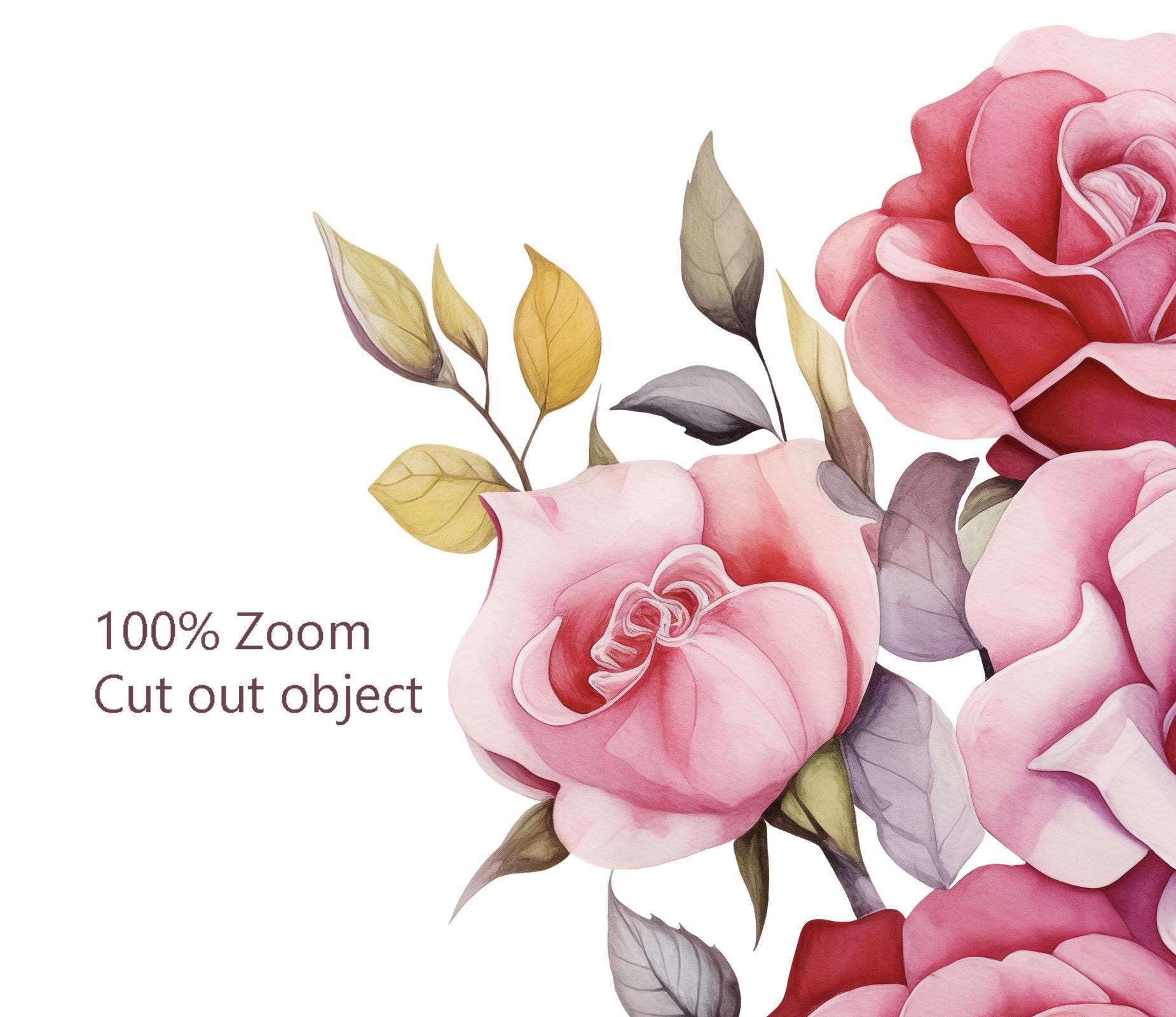 Pink Roses Bouquet Watercolor Sublimation Clipart, PNG Files Digital ...