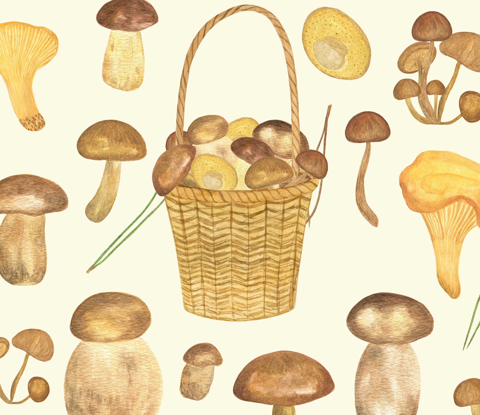 Forest Mushrooms Watercolor Clipart, Hand Drawn Autumn Elements, Fall ...