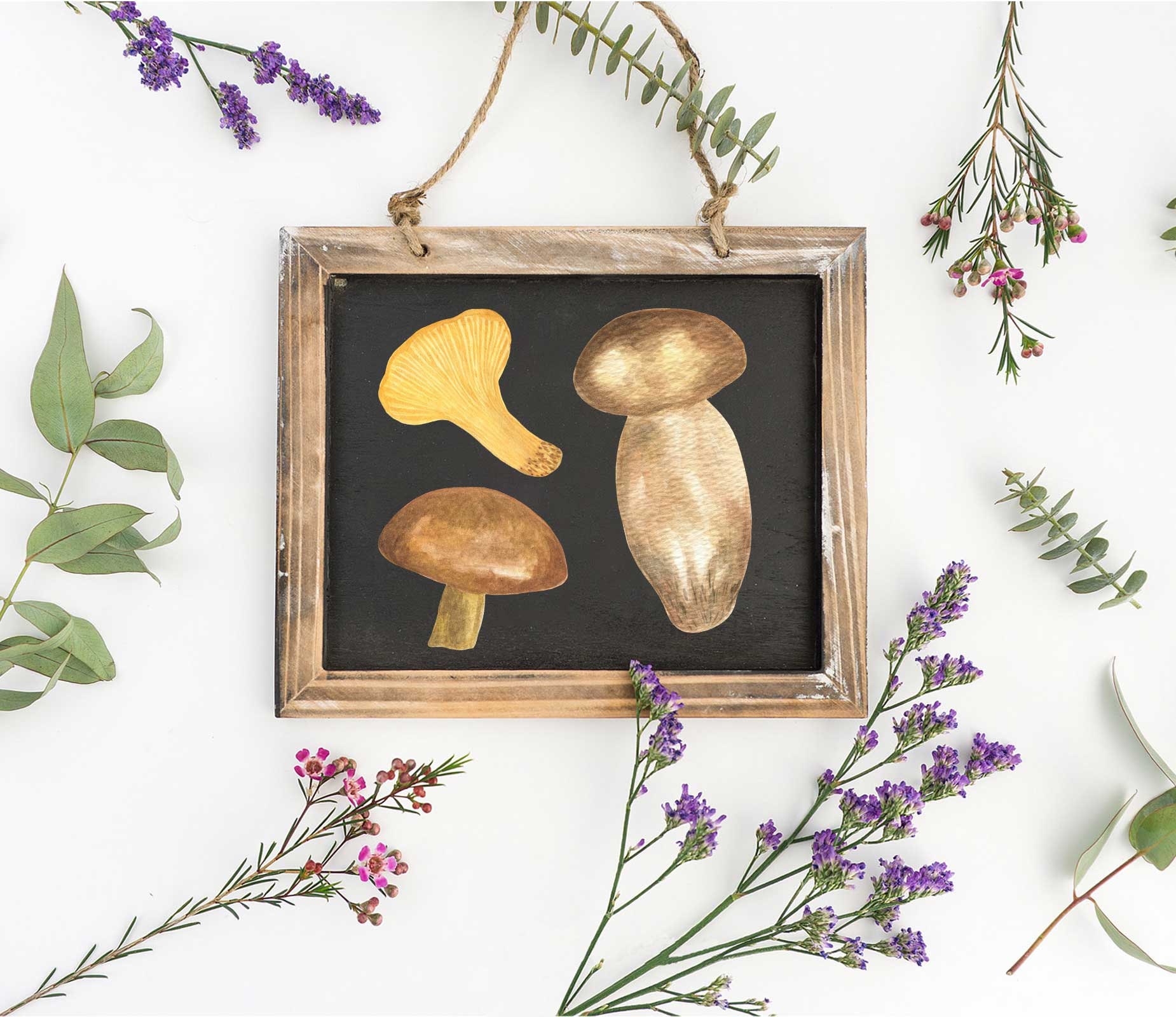 Forest Mushrooms Watercolor Clipart, Hand Drawn Autumn Elements, Fall ...