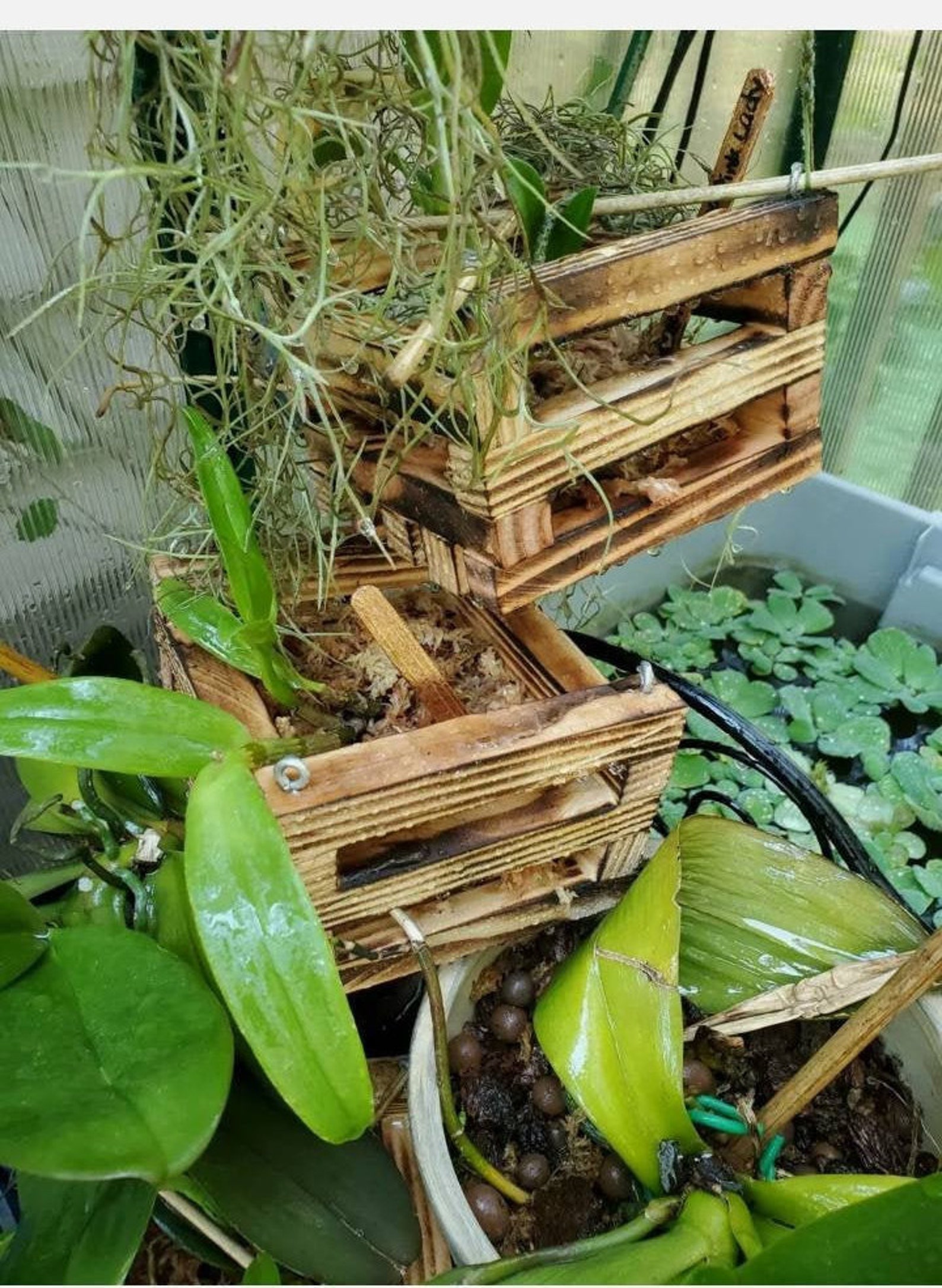 6 Handmade 5 Inch Orchid Baskets With Torched Finish and Waterproofed ...