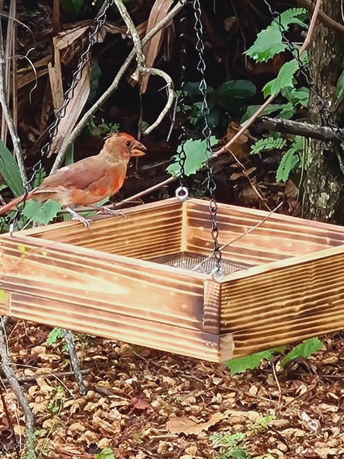 Screened Bird Feeder with Torched Wood Boarder and Chain with | Etsy