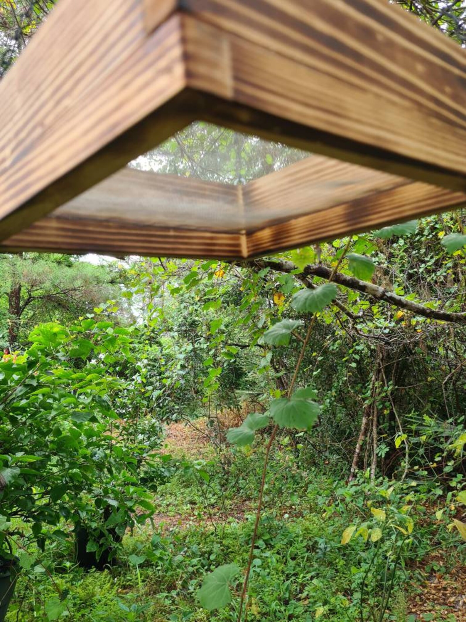 Screened Bird Feeder With Torched Wood Boarder and Chain With - Etsy