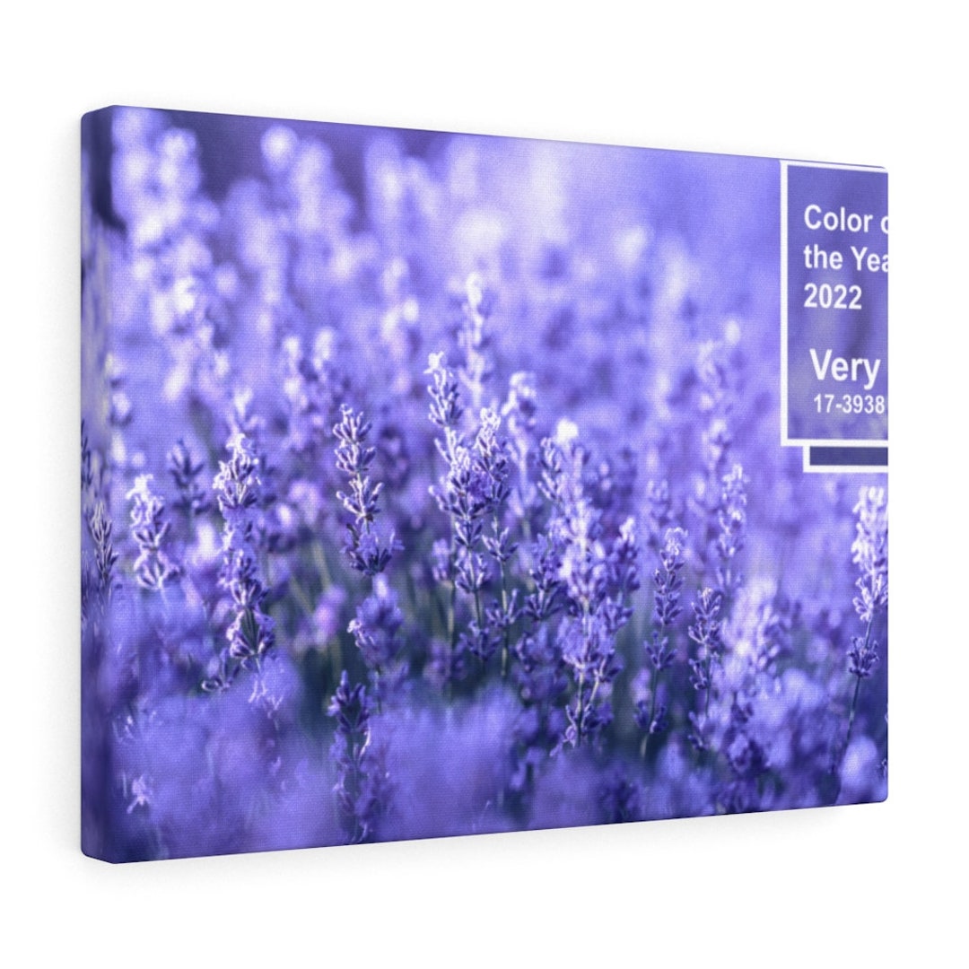 Periwinkle Flower Photography Print, Periwinkle Home Decor, Periwinkle ...