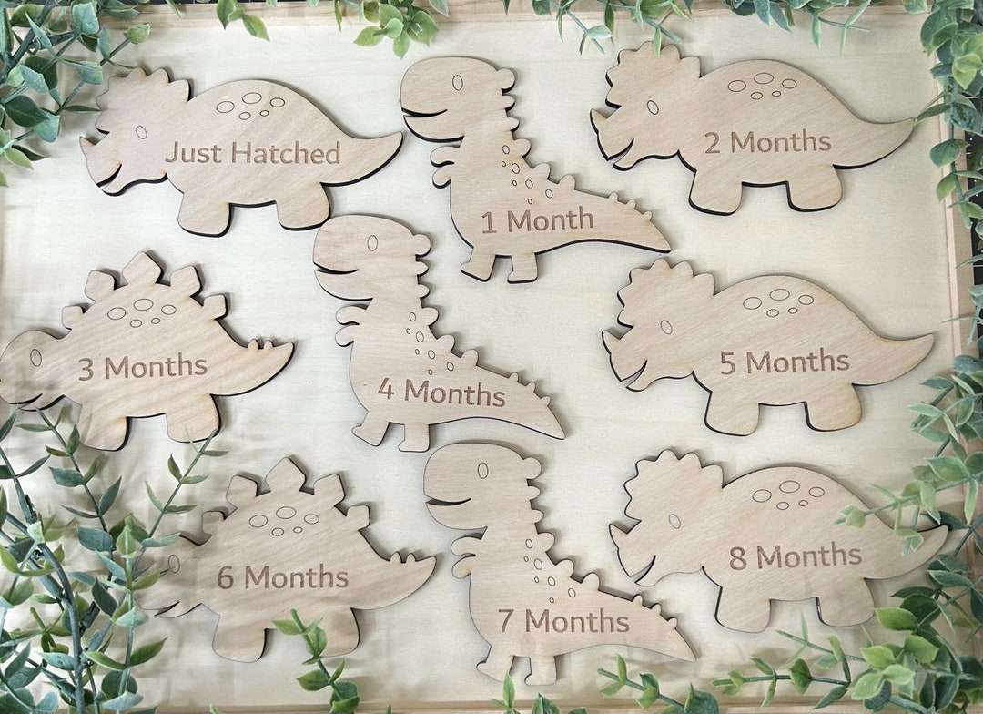 Dinosaur Milestones, Dino Props for Pictures - Etsy