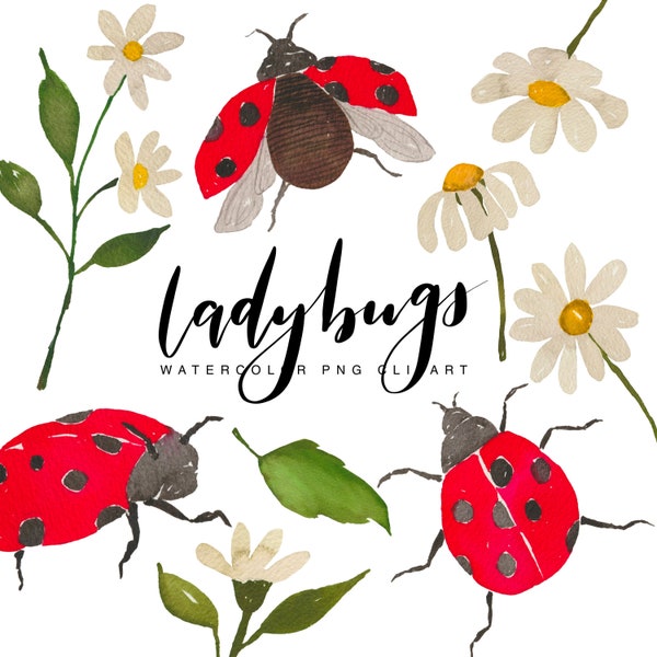 Ladybug Clip Art - Etsy