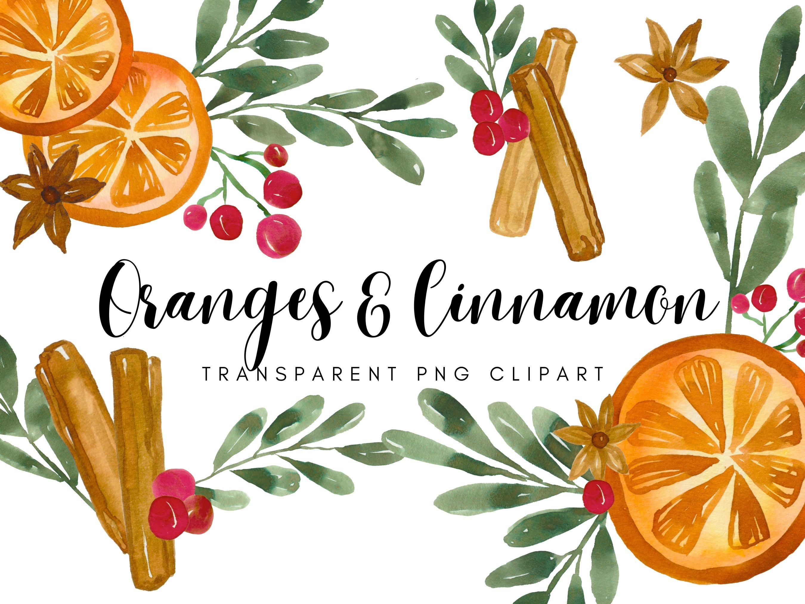 Watercolor Christmas Oranges and Cinnamon Clip Art - Digital ...