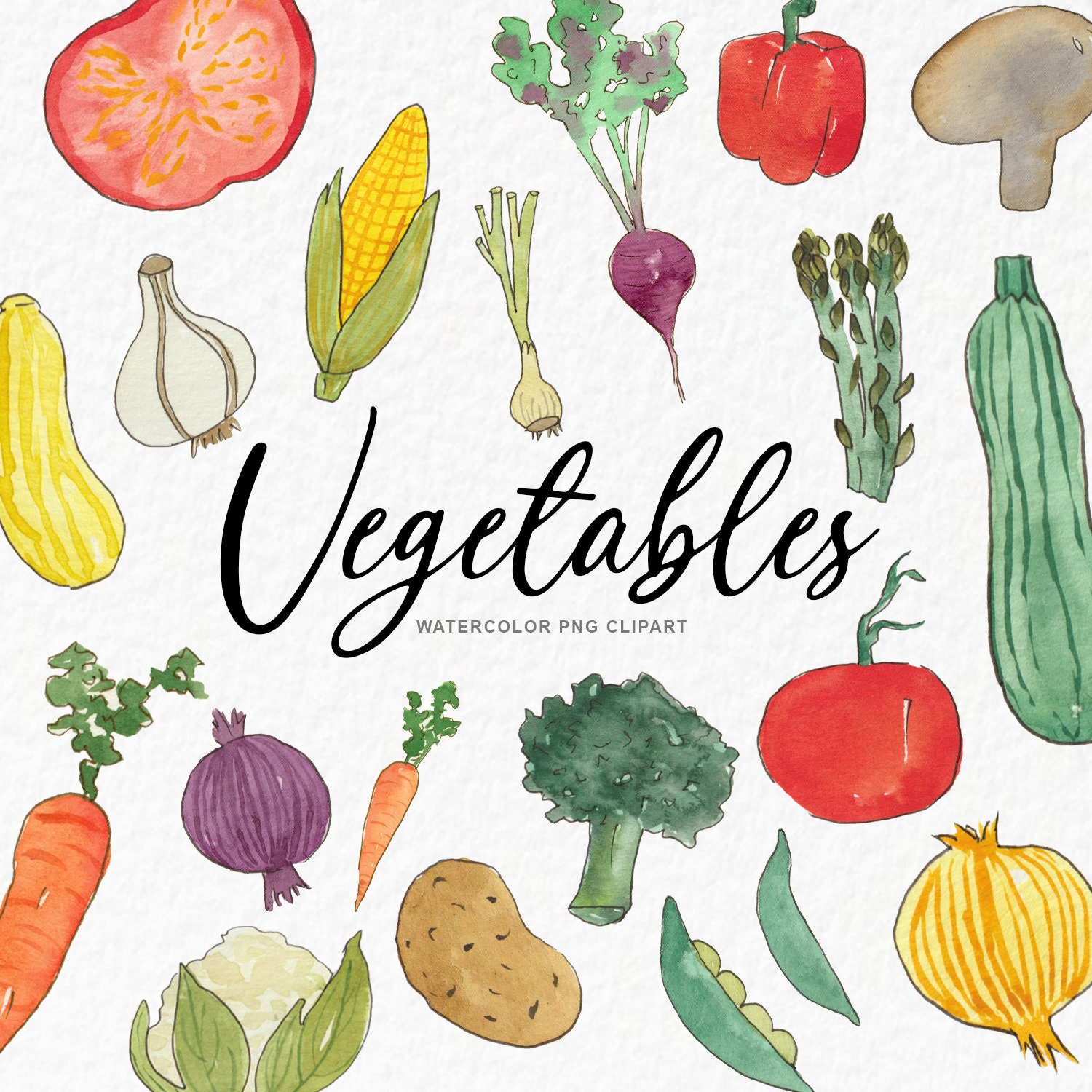 Vegetable Watercolor Clip Art - Gardening PNG Graphics - Personal ...
