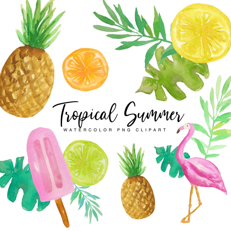 Watercolor Tropical Summer Clipart Transparent PNG Graphics - Etsy