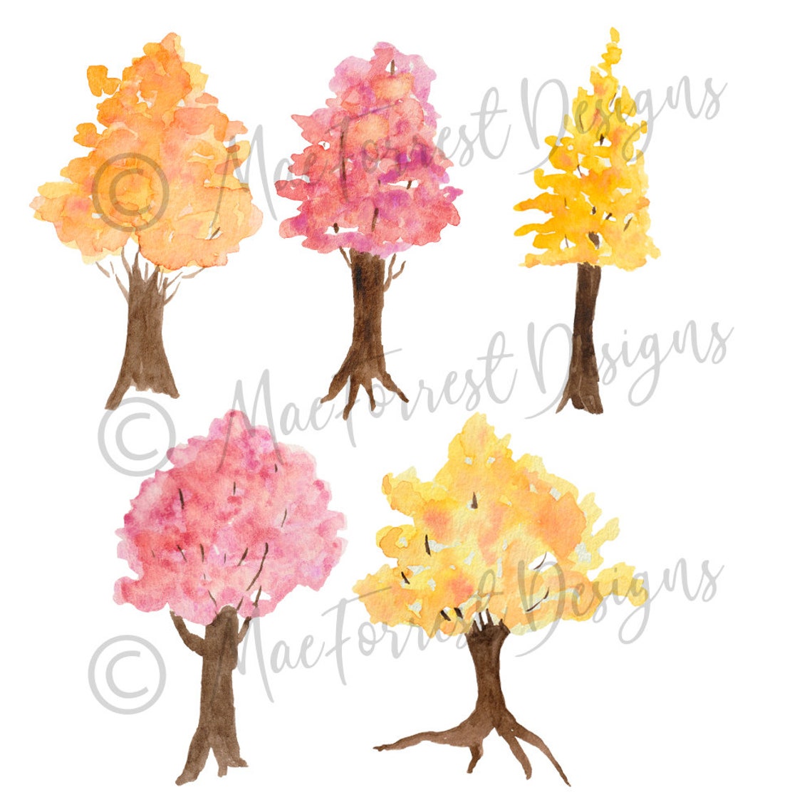 Watercolor Fall Tree Bundle - Downloadable Printable PNG Fall Trees ...