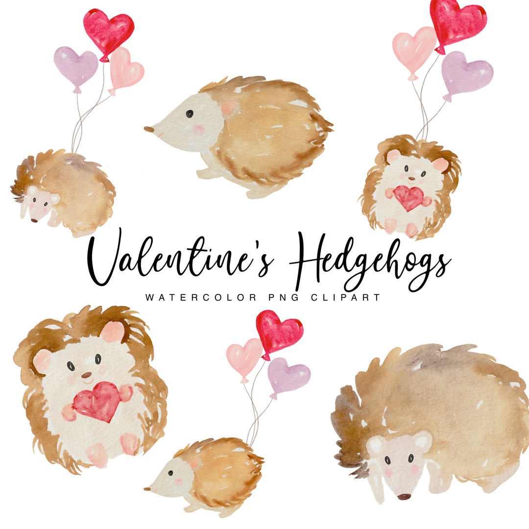 Watercolor Valentine’s Day Hedgehogs - Transparent PNG Valentines ...