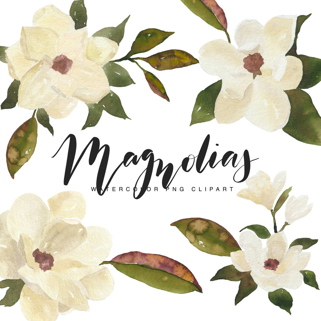 Watercolor Magnolia Flower Branches Clipart - Magnolia Graphics ...