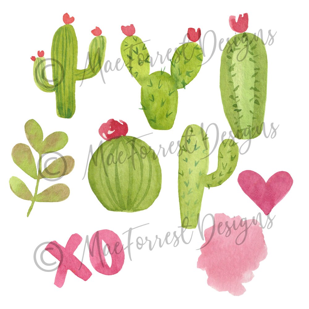 Cactus Cacti Watercolor Clip Art - Hand Painted Cactus Graphics PNG ...