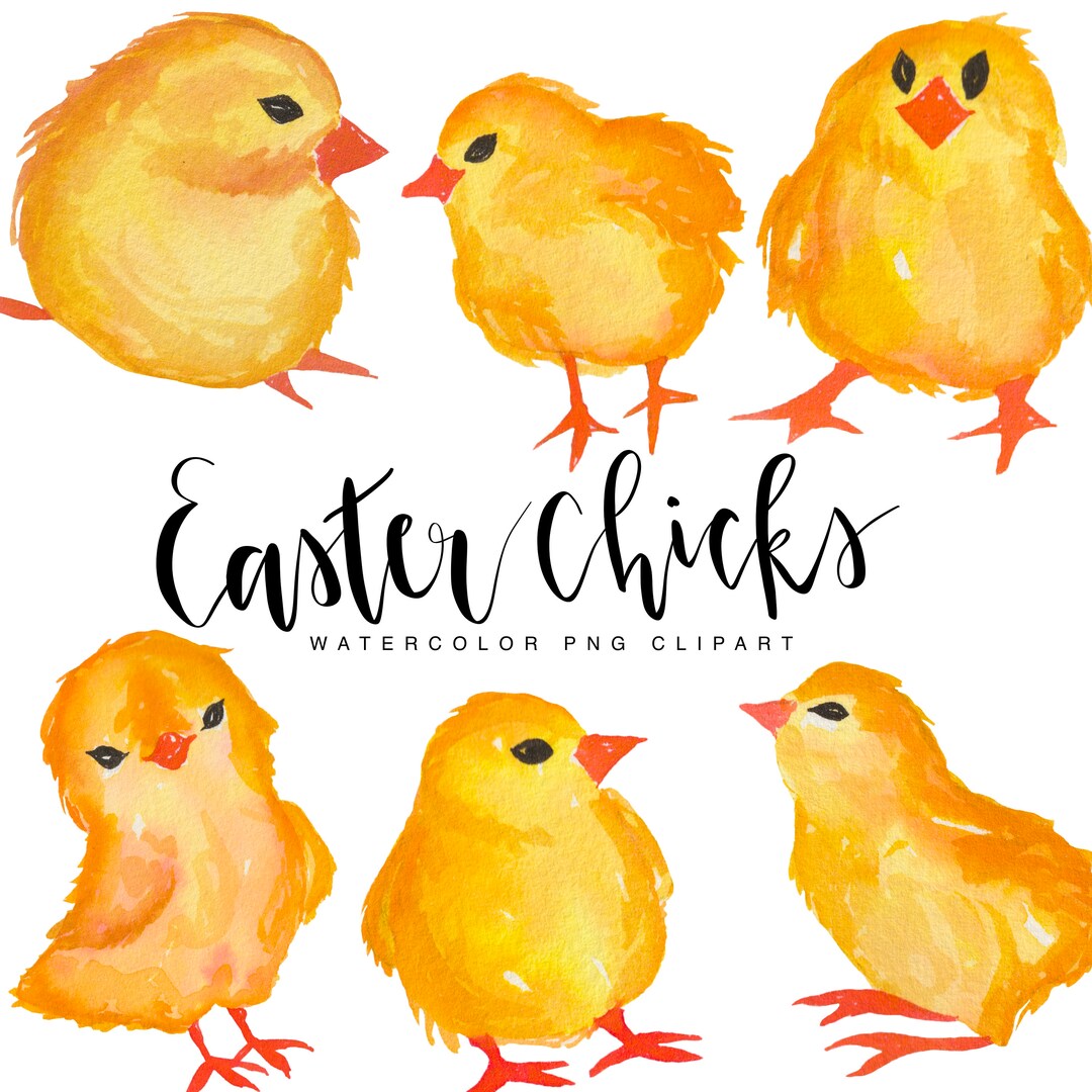 Yellow Easter Baby Chick Clipart - Easter Chick Graphics - Transparent ...