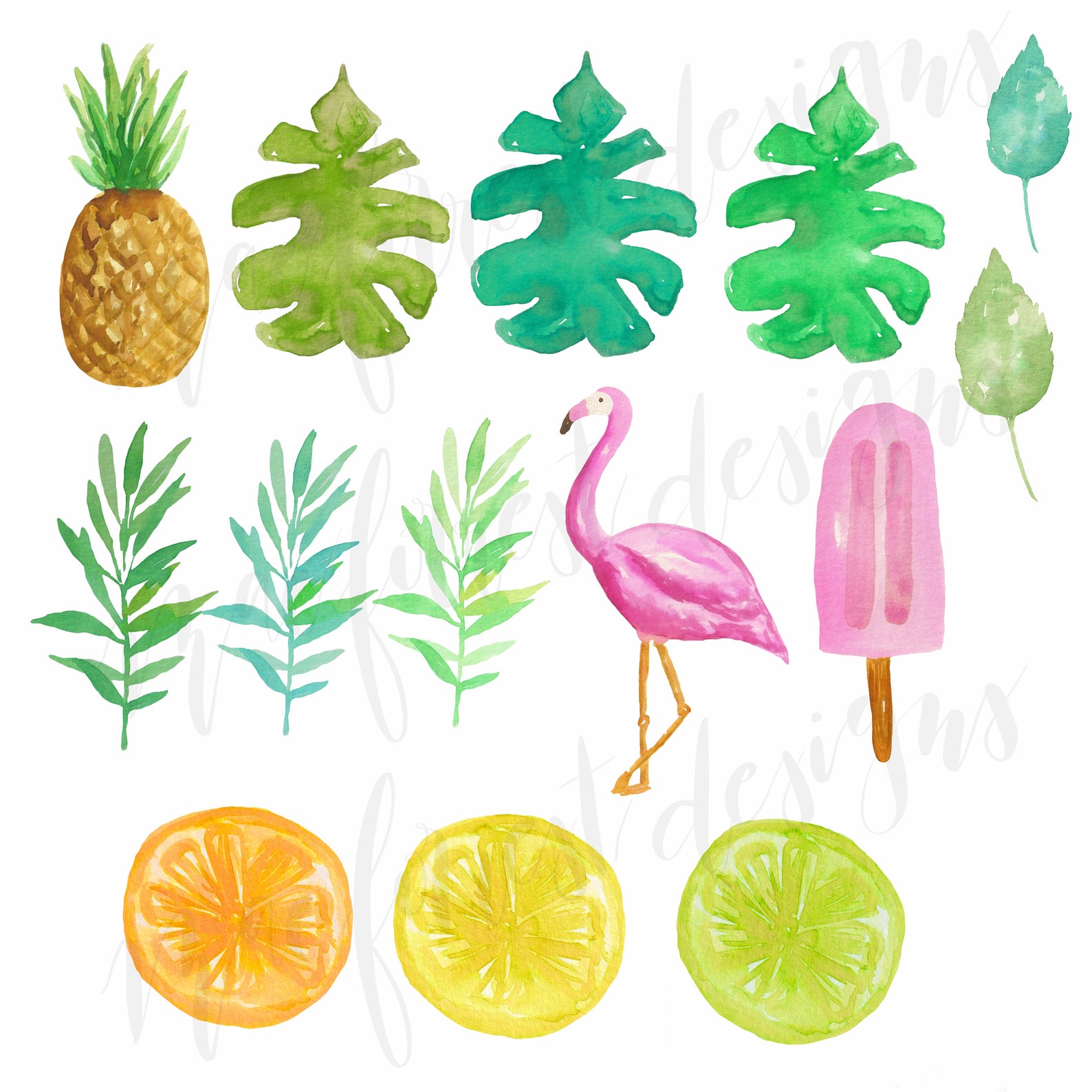 Watercolor Tropical Summer Clipart - Transparent PNG Graphics ...