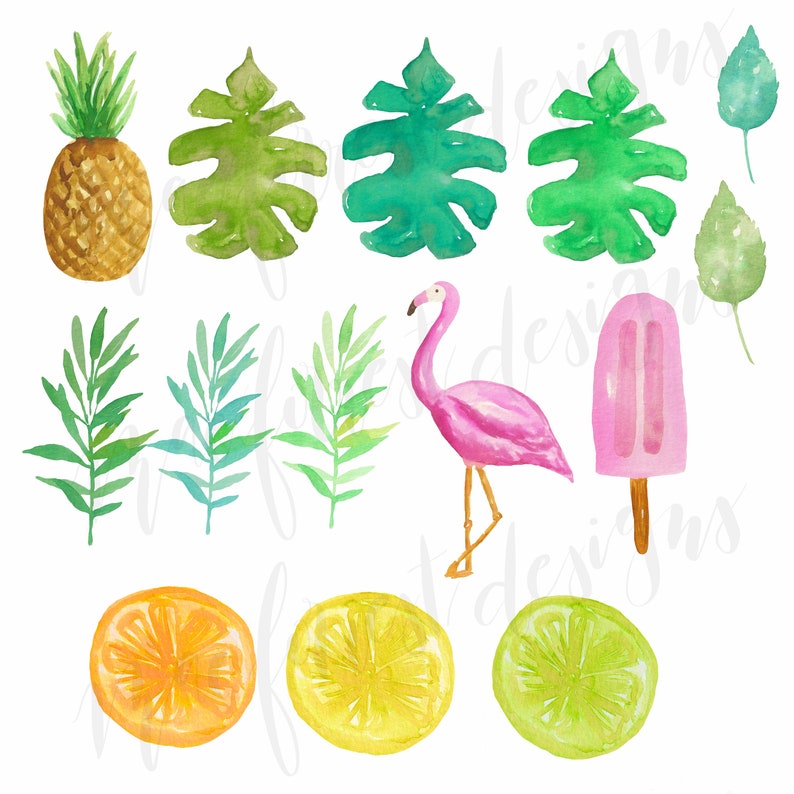 Watercolor Tropical Summer Clipart Transparent PNG Graphics - Etsy