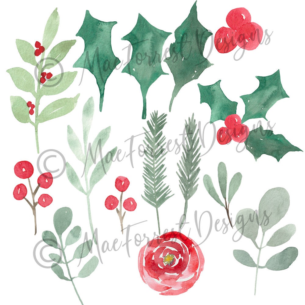 Classic Christmas Watercolor Clipart - Christmas Greenery PNG ...