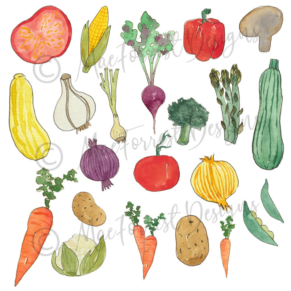 Vegetable Watercolor Clip Art - Gardening PNG Graphics - Personal ...
