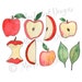 Watercolor Apple Clip Art Bundle - Downloadable Printable PNG Fall ...