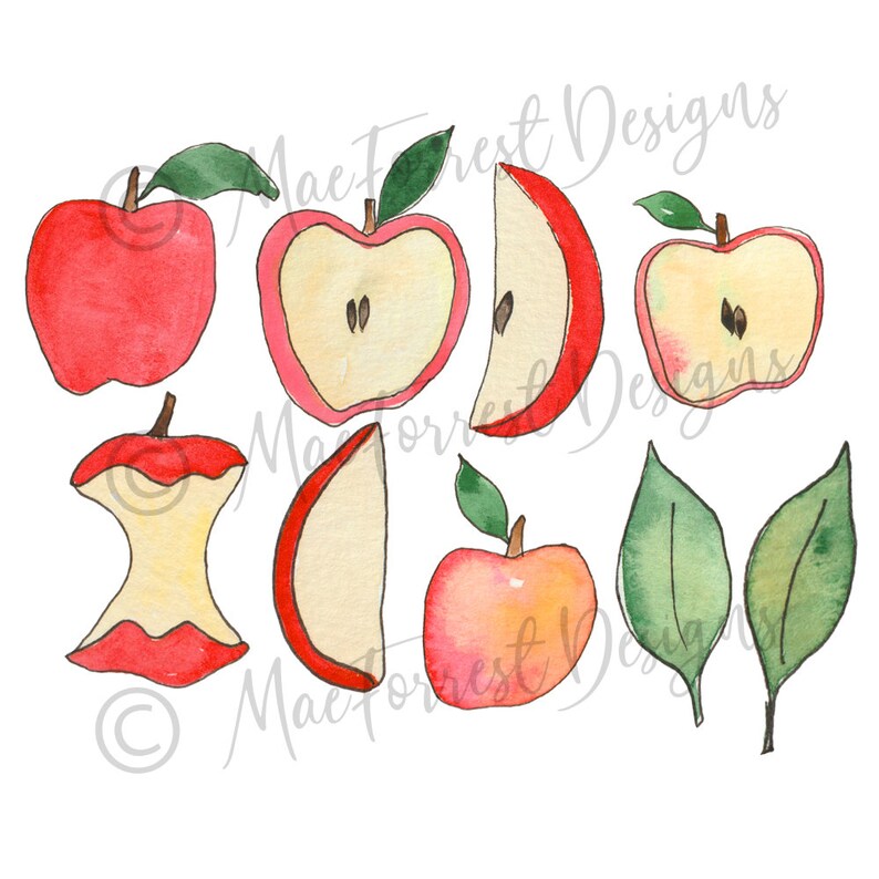 Watercolor Apple Clip Art Bundle - Downloadable Printable PNG Fall ...