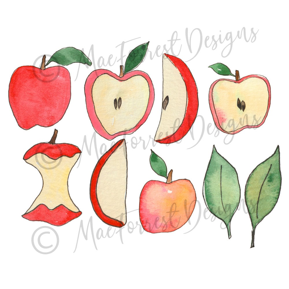 Watercolor Apple Clip Art Bundle - Downloadable Printable PNG Fall ...