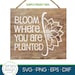 Bloom Where You Are Planted Svg, Inspirational Saying, Sunflower Svg ...