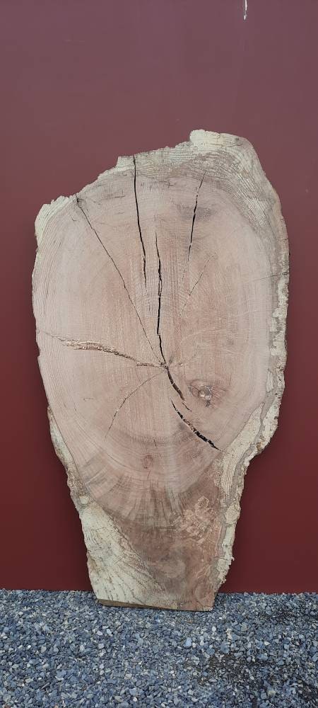 Kiln Dried Spalted Live Edge Red Oak Slab. Epoxy Project | Etsy