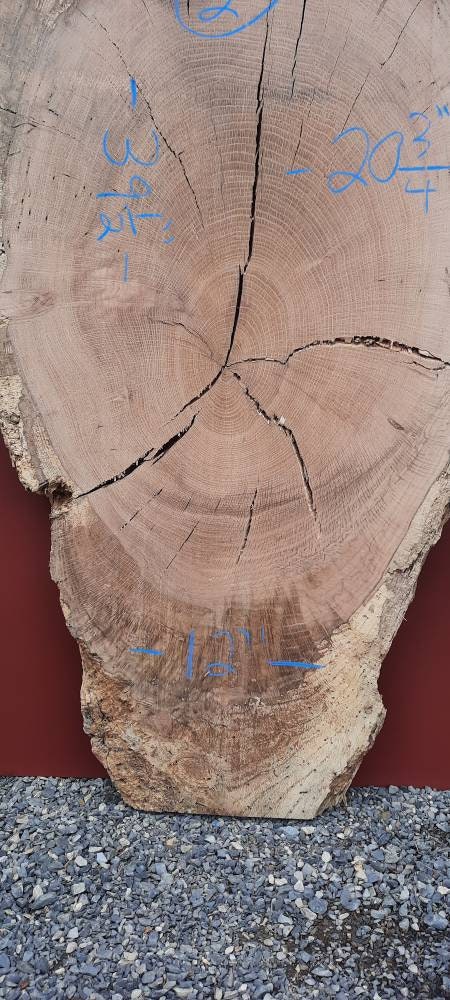 Kiln Dried Spalted Live Edge Red Oak Slab. Epoxy Project | Etsy
